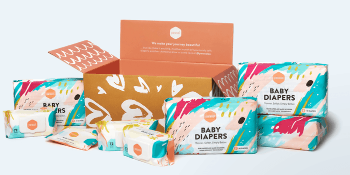 10 Best Diaper Subscription Boxes - Urban Tastebud