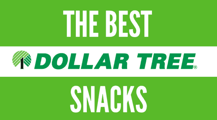18 Best Dollar Tree Snacks (According to Customers) - Urban Tastebud