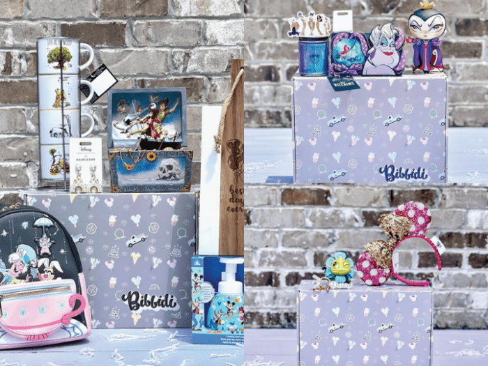 12 Best Disney Subscription Boxes (2023) - Urban Tastebud